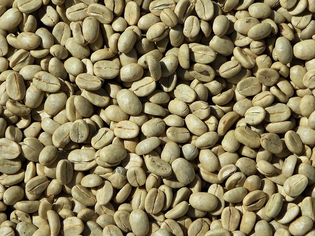 Light Roast vs. Medium Roast vs. Dark Roast | CoffeorBust.com