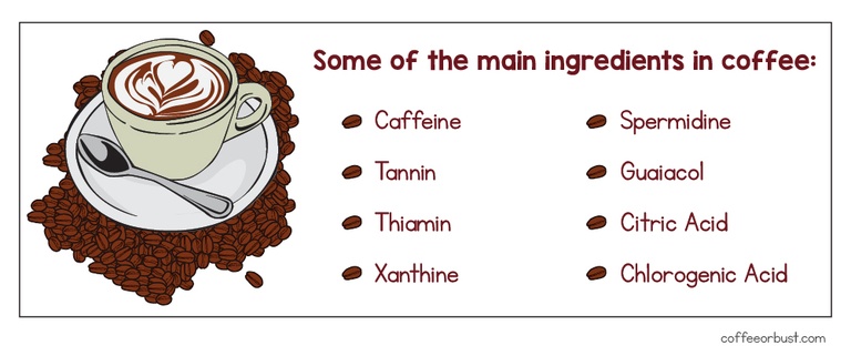 Feeling Sleepy After Coffee? Learn How Caffeine Can Make You Tired