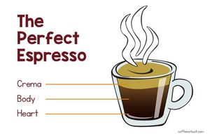 Espresso 101: What is Crema? | Coffee or Bust